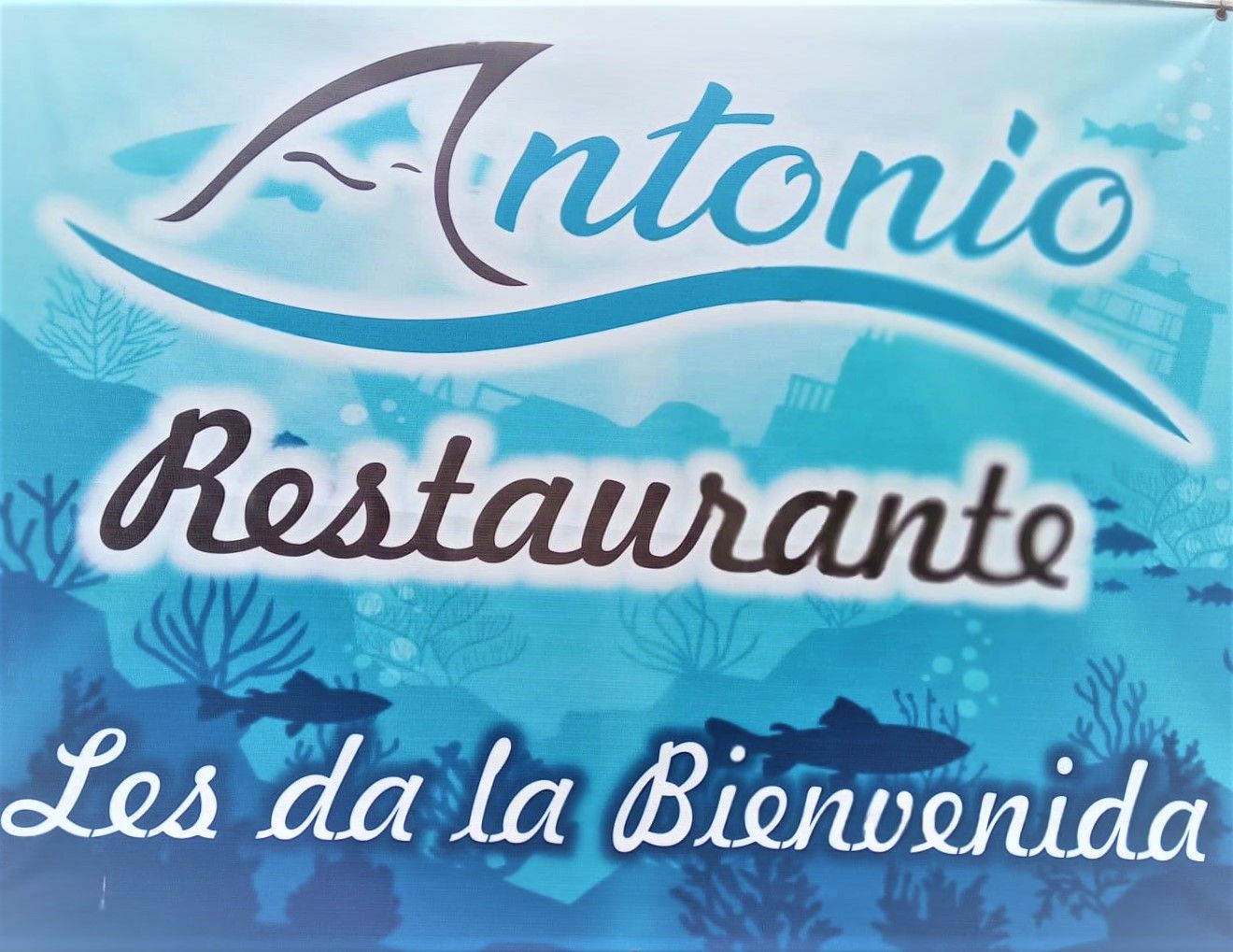 ANTONIO RESTAURANTES • Menú, Precios y Dirección