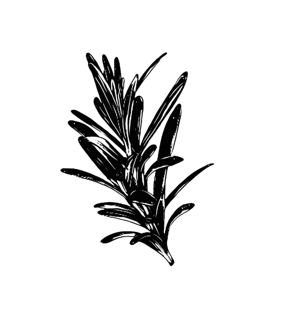 ROSMANÍ RESTAURANT • Menú, Precios y Dirección